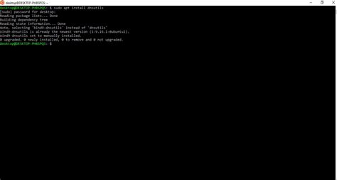 How To Install Nslookup On Ubuntu