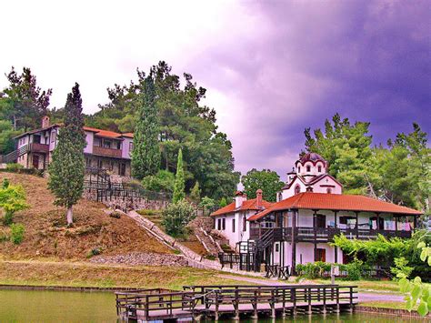 Чудотворна лоза Светог Симеона са Хиландара ИН4С