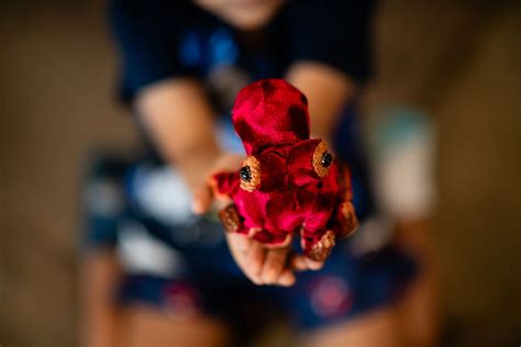 Marine Exploration The Drama Toolbox