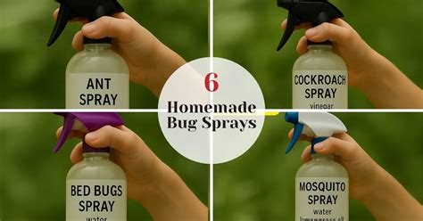 6 Powerful Homemade Bug Sprays That Actually Work And Smell Better Than Store Bought