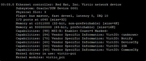 Oracle Cloud Vm Nic 반 가상화 Sr Iov Esukmeans