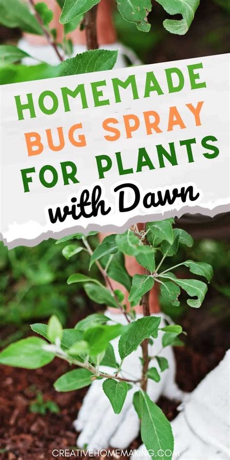 Homemade Bugspray For Plants With Dawn A Natural Solution Creative Homemaking