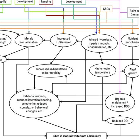 Examples Of Intermediate Causes And Linkages To Proximate Causes Of Download Scientific Diagram