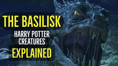 Harry Potter Chamber Of Secrets Basilisk Mexicolana