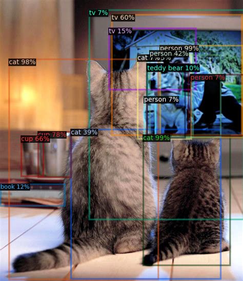 Convert Detectron2 Models To OpenVINO OpenVINO Documentation