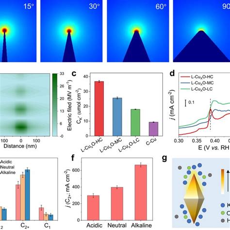 Electric Field Detection And Enhancement Mechanism Investigation A Download Scientific Diagram