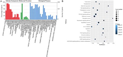 Functional Annotation Of Differentially Expressed Circrnas Regulated By Download Scientific