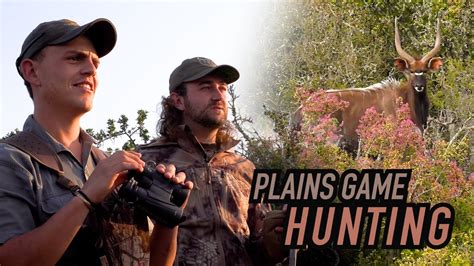 African Plains Game Hunting The Ultimate Compilation 50 Shots In 4k