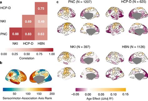 Functional Connectivity Strength Developmental Effects Replicate Across Download Scientific