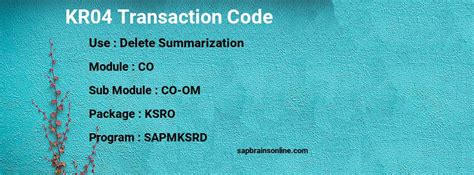 KR SAP Tcode For Delete Summarization