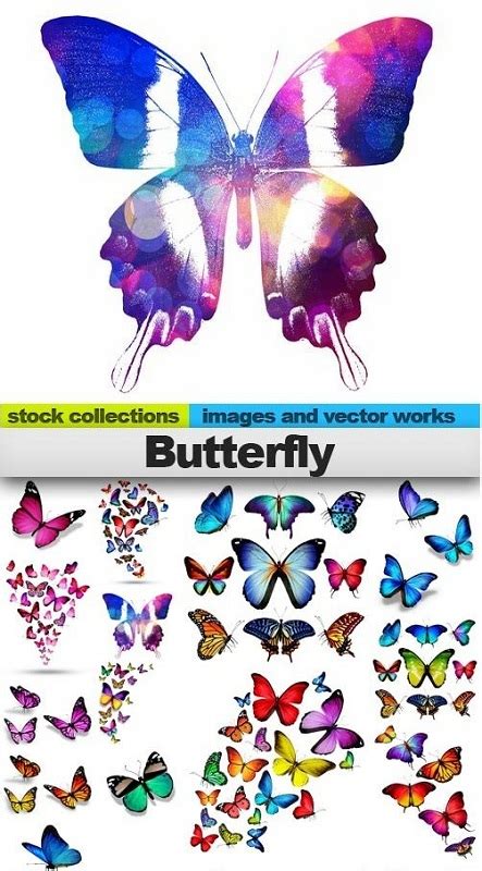 60 عکس پروانه🦋دانلود عکس پروانه واقعی و زیبا ️چاپ ️ادیت