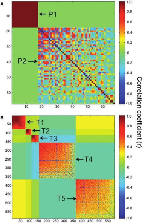 Correlated Transcriptional Modules A Clustering Of The Download Scientific Diagram