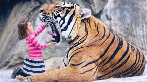 15 Times Wild Animals Saved Human Lives 2 Simply Amazing Stuff