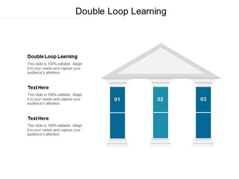 Double Loop Learning Ppt Powerpoint Presentation Summary Guidelines Cpb