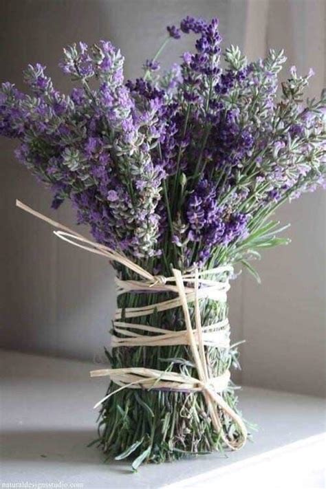 استعارات برخیز و مخور غمِ جهانِ گذران بنشین و دمی به