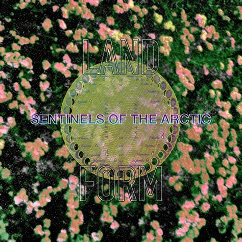 Pathways In The Spring Grass By Sentinels Of The Arctic Rambient