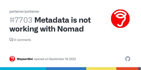 Metadata Is Not Working With Nomad · Issue 7703 · Portainerportainer
