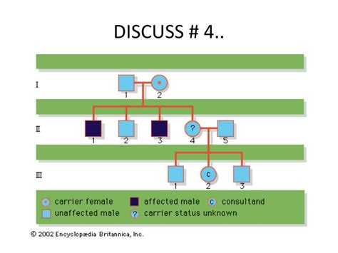 Ppt 4 X Linked Genes Sex Influenced Inheritance Sex Limited Inheritance Powerpoint