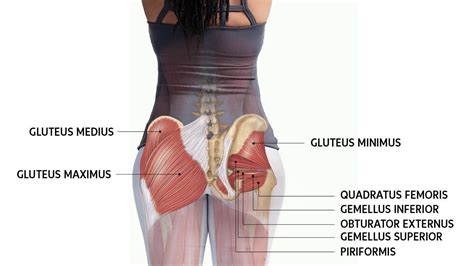 Heres Why Strong Glute Muscles Help Your Body Function At Its Best