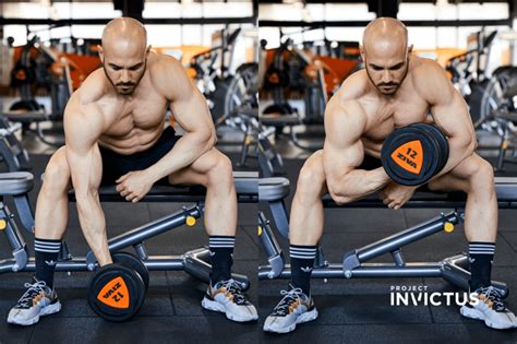 Curl Concentrato Esecuzione E Allenamento Bicipiti Project Invictus