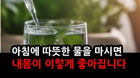 아침에 따뜻한 물을 마시면 내 몸이 이렇게 좋아집니다 좋은습관 물마시는습관 박테리아 Youtube