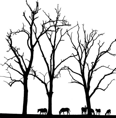 روزگار جوانی