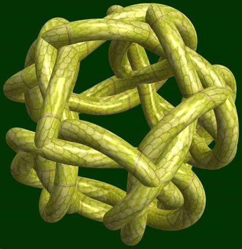 무료 이미지 추상 구조 조직 꽃 무늬 식품 생기게 하다 디자인 대칭 3d 그래픽 모양 매듭 큰 쇠시리 수학자 Cg