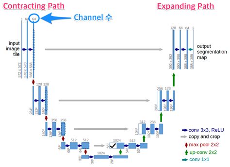 deeplung deep 3d dual path nets for automated pulmonary nodule