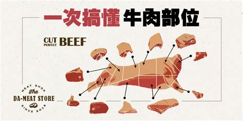 牛肉部位一次搞懂 達米肉舖
