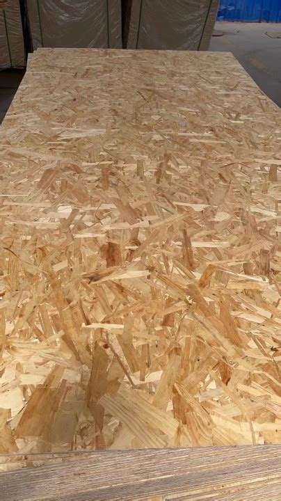 Functions Of Osb