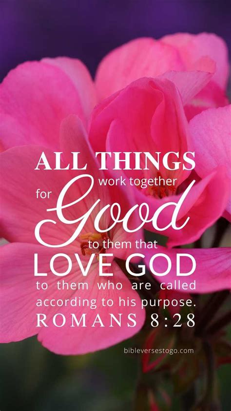 Geranium Romans 8 28 Encouraging Bible Verses