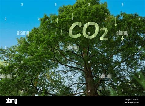 Reduce Co2 Emissions Co2 Inscription With Arrows And Beautiful Green