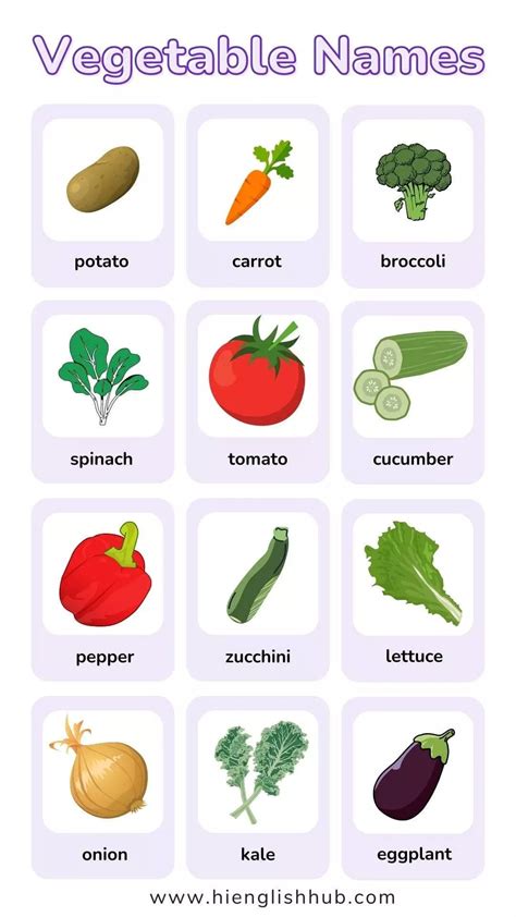 91 Vegetable Names In English With Pictures Hi English Hub Visual