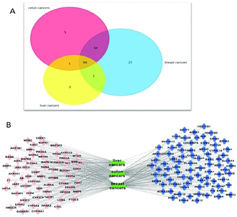 A A Venn Diagram Illustrating The Number Of Intersected Genes