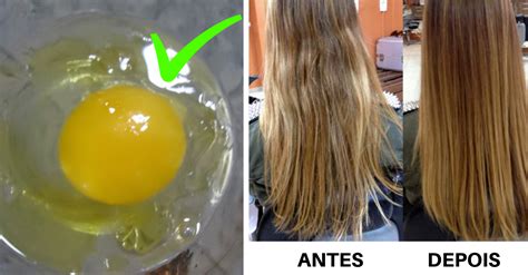Clara De Ovo No Cabelo Para Que Serve
