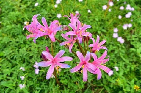 馬祖 連江縣東引鄉公所