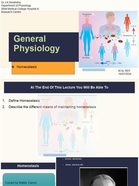 Gp2 Homeostasis Transport Nivethitha Pdf Homeostasis Negative