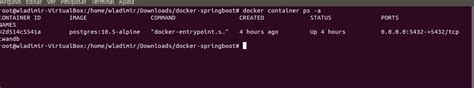 Postgresql 10 Como Acessar O Postgres De Uma Imagem Docker Stack