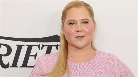Amy Schumer Wiped Her Instagram Clean For No Reason Reality Tea