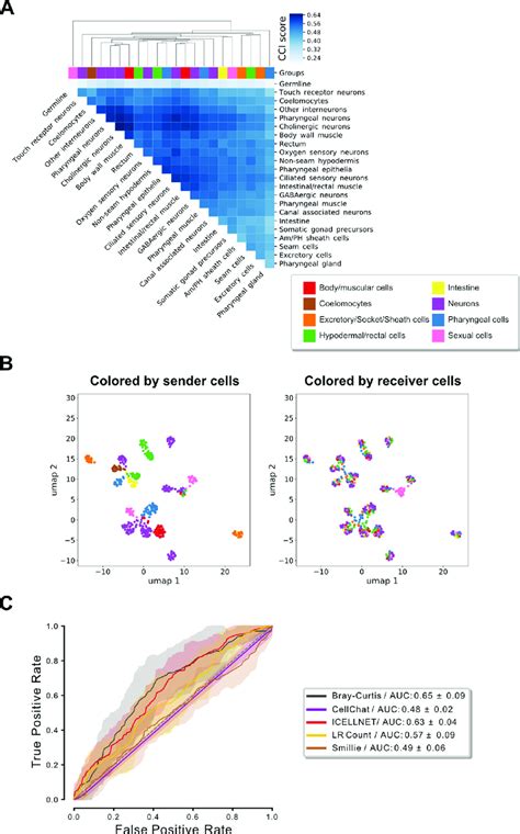 Cell Cell Interactions And Communication In C Elegans A Heatmap Of
