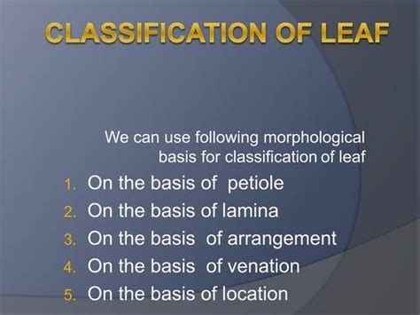 Leaf Apex Type Ppt