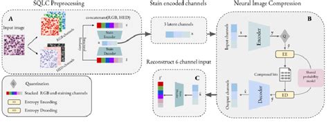 Proposed Sqlc Method A Preprocessing For The Fusion Of Rgb Image