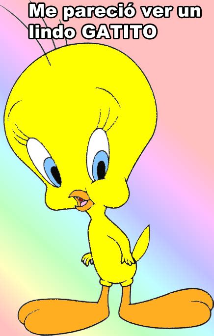 Me Parecio Ver Un Lindo Gatito Desmotivaciones De Amistad