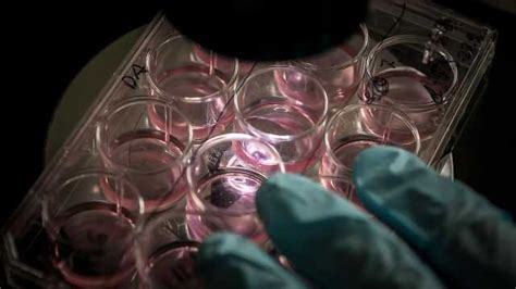 Reprogramming And Ipsc Formation Then And Now Technology Networks