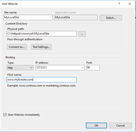 Coderjony How To Use Live Domain For Your Localhost Websites Running In Iis