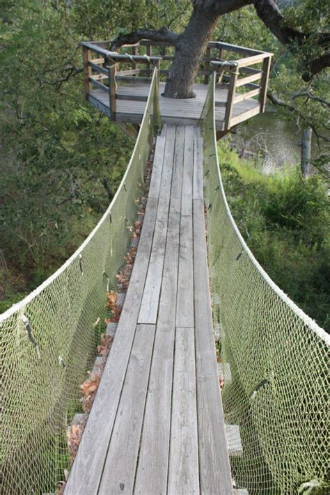 Tree House Bridge Tree House Photography Bridge