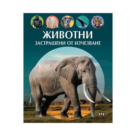 Животни застрашени от изчезване Сабин Бокадор Пан 2023 Мека Книжарница Orange