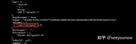 3docker Compose 运行mysql8 知乎