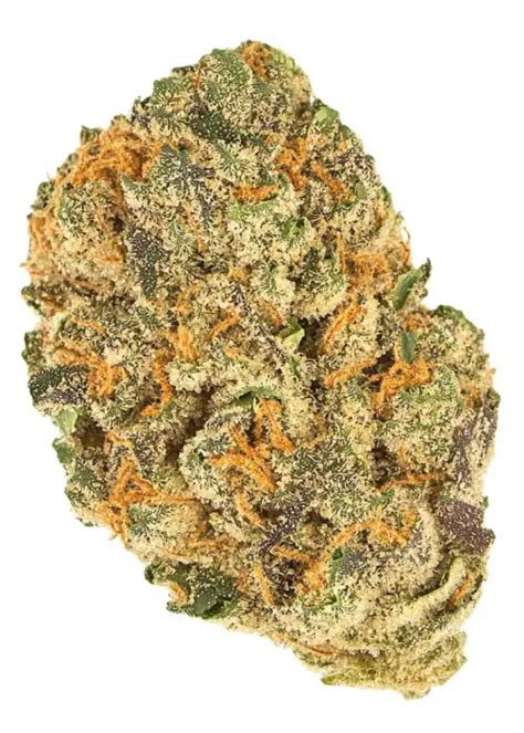 Jealousy Cannabis Strain Info Growdiaries