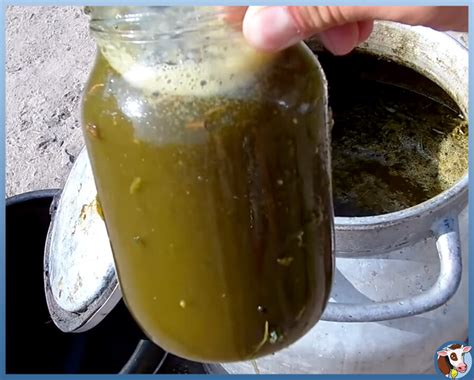 Универсальное органическое удобрение для сада и огорода Жизнь в деревне Дзен